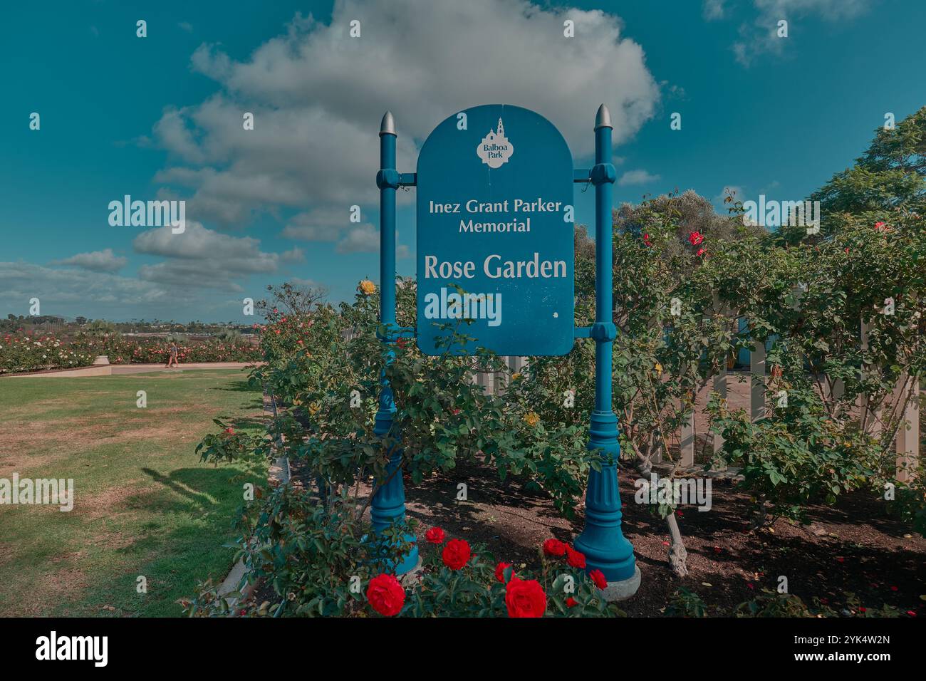 Inez Grant Parker Memorial Rose Garden in Balboa park San Diego ...