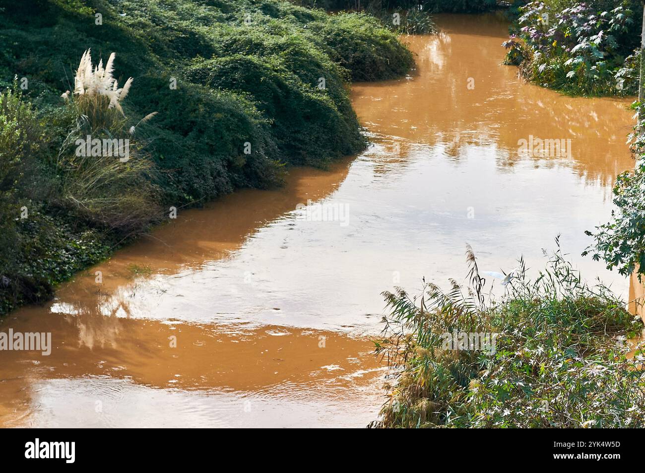 Muddy river flowing through a natural landscape. The water is heavily silted, reflecting recent ...