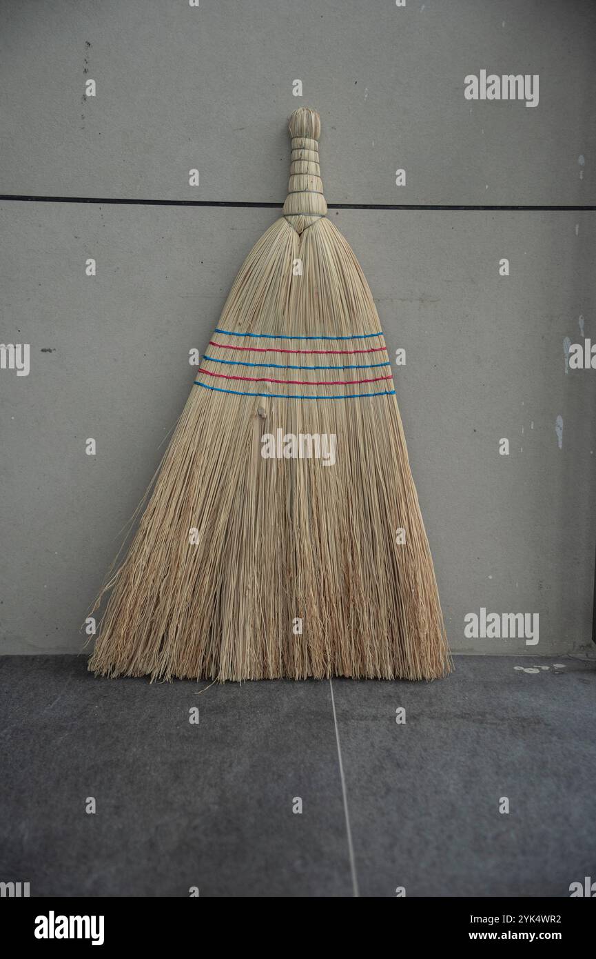 Fly on broom hi-res stock photography and images - Alamy