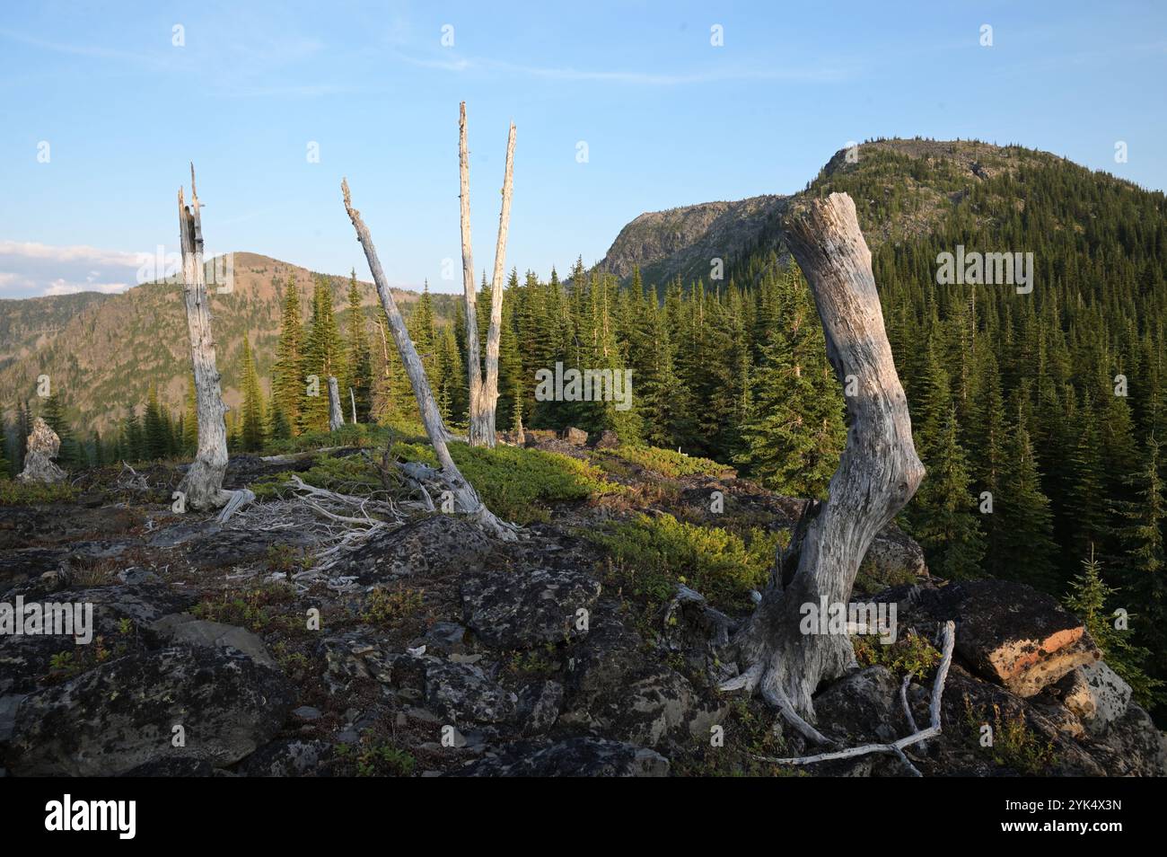 Purcell mountains summer hi-res stock photography and images - Alamy