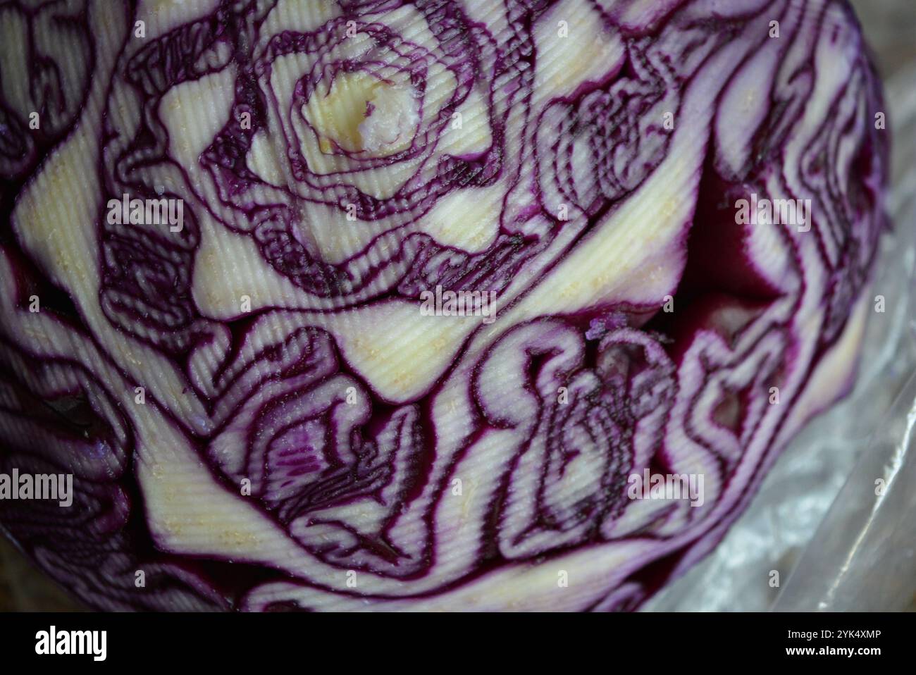 Healthy food, food, vegetables. Purple cabbage cut in half Stock Photo ...