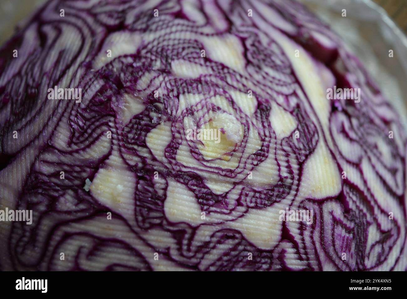 Healthy food, food, vegetables. Purple cabbage cut in half Stock Photo ...