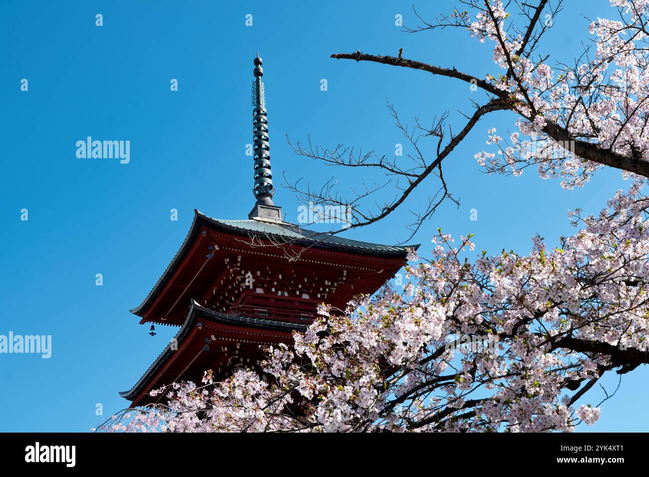 Two-tiered Japanese pagoda with cherry blossoms, vibrant spring scenery ...
