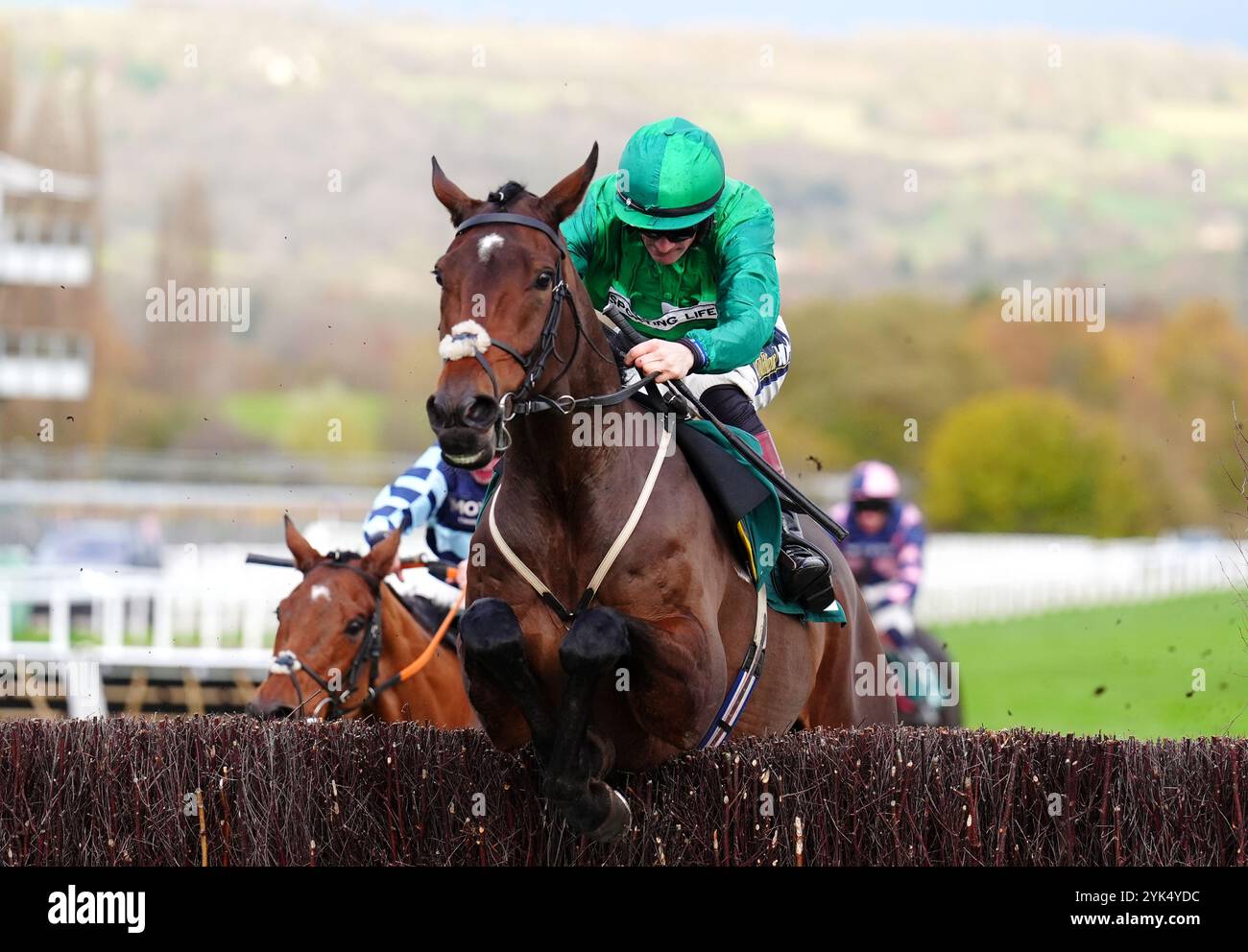 Matata horse cheltenham hi-res stock photography and images - Alamy