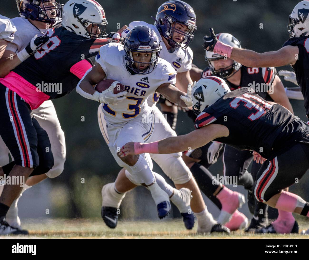 2024 regular season hi-res stock photography and images - Alamy