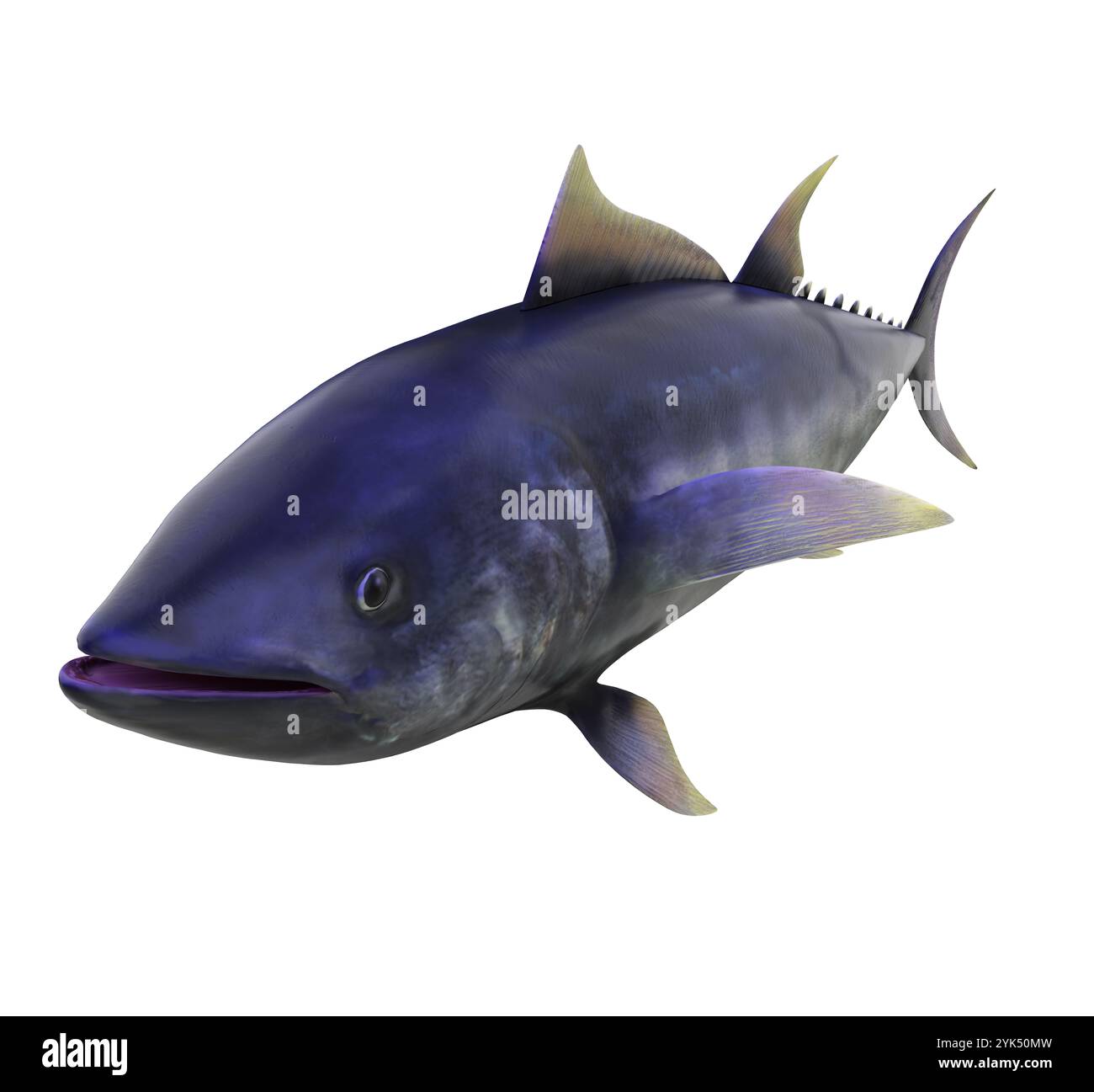 Tuna Fish Isolated Stock Photo - Alamy