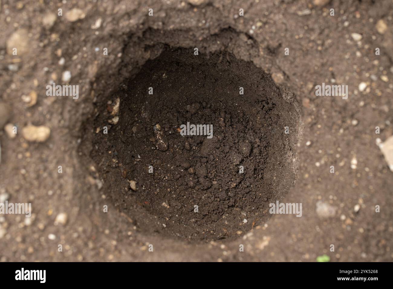 Hole for planting plants in brown soil Stock Photo - Alamy