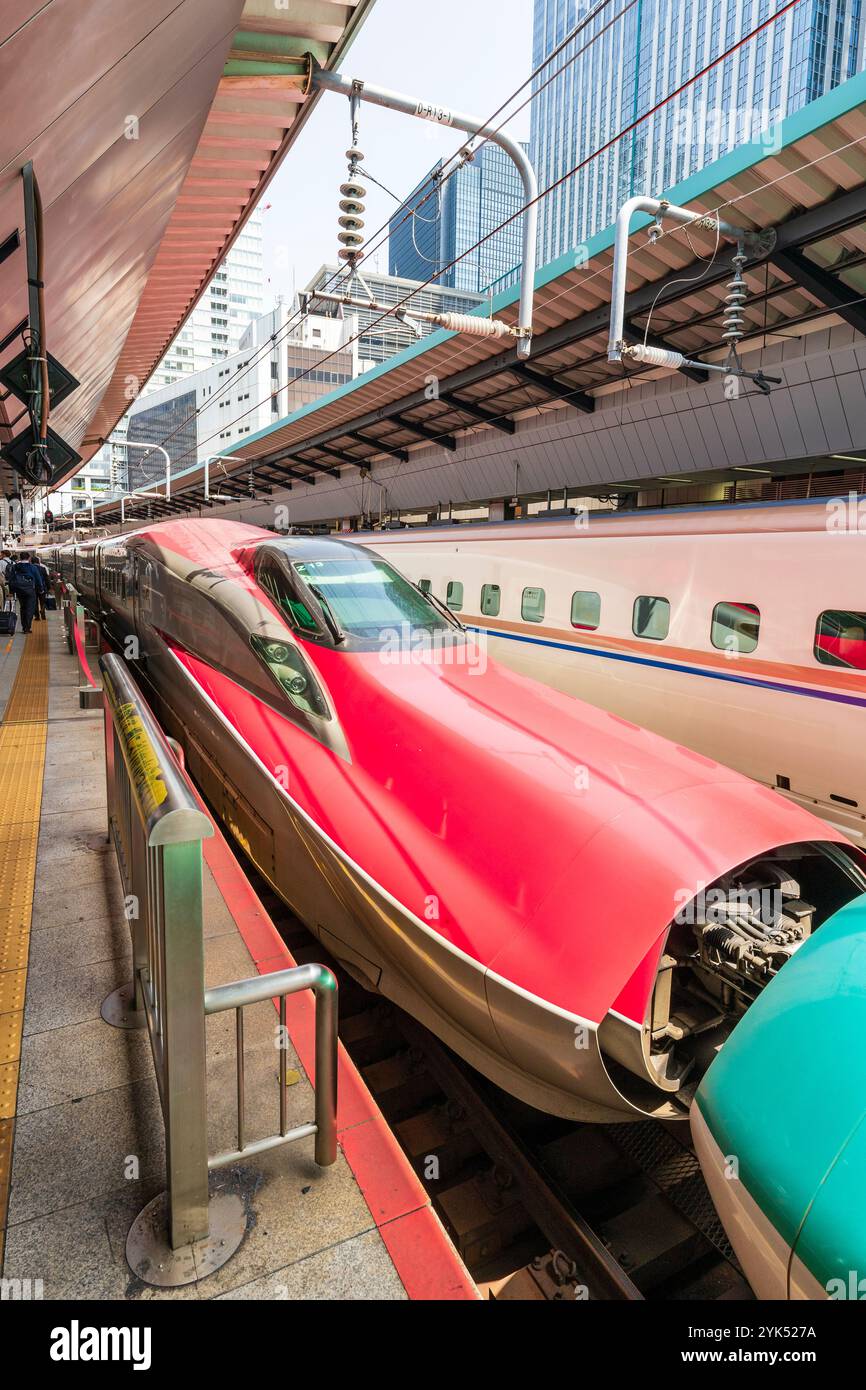 Akita Shinkansen E6 series joined to a E5 series bullet train at Tokyo station. View along train ...