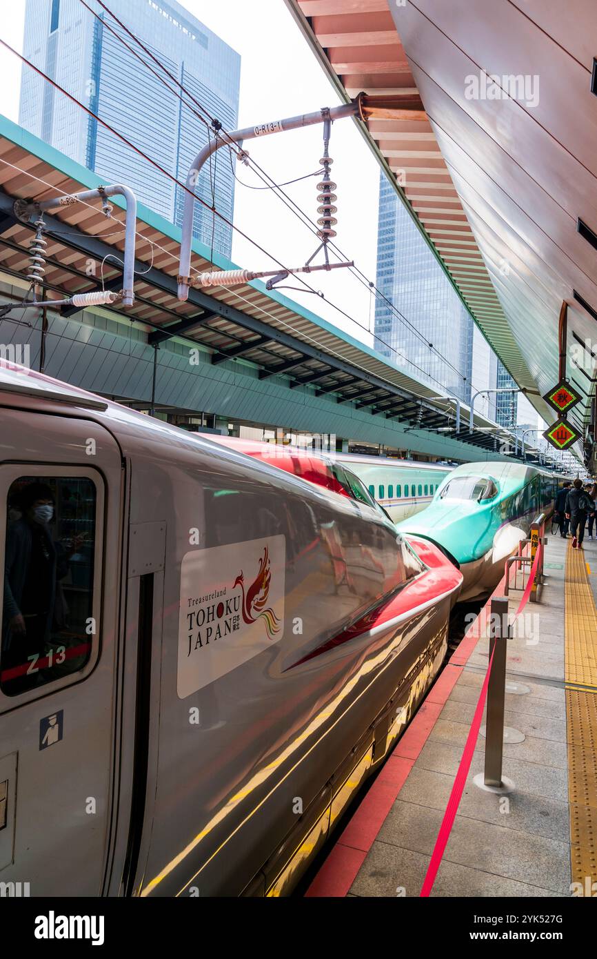 Tohoku E6 Shinkansen joined to a E5 Tohoku bullet train at platform 21 at Tokyo station in the ...