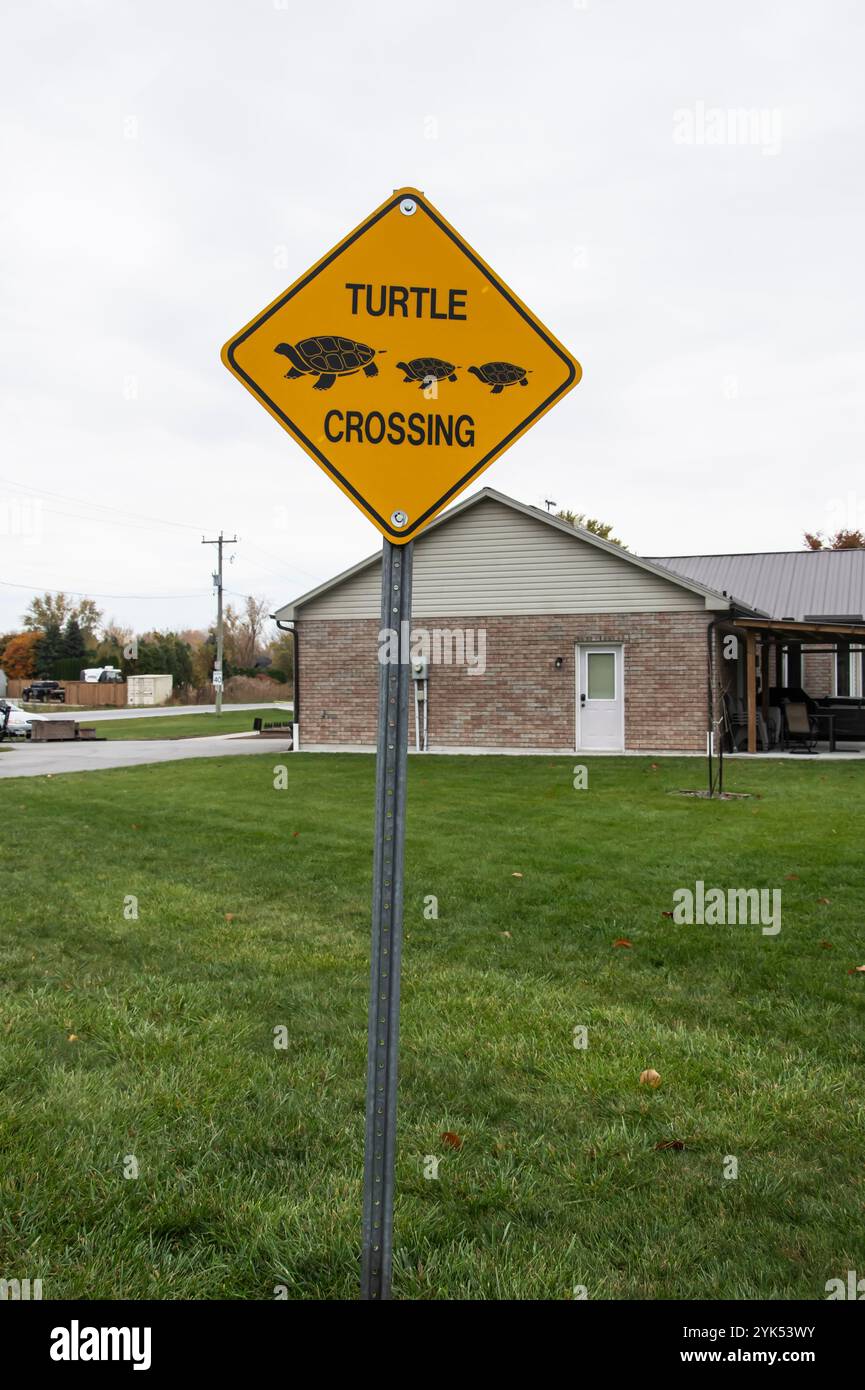 Turtles crossing sign on Tisdelle Drive in Lighthouse Cove, Tilbury ...