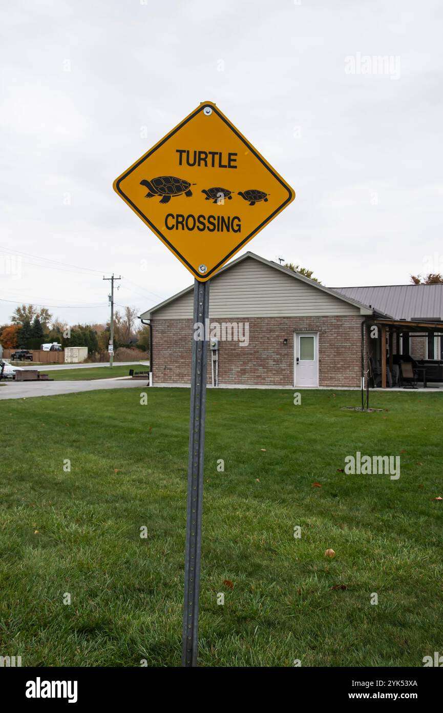 Turtles crossing sign on Tisdelle Drive in Lighthouse Cove, Tilbury ...