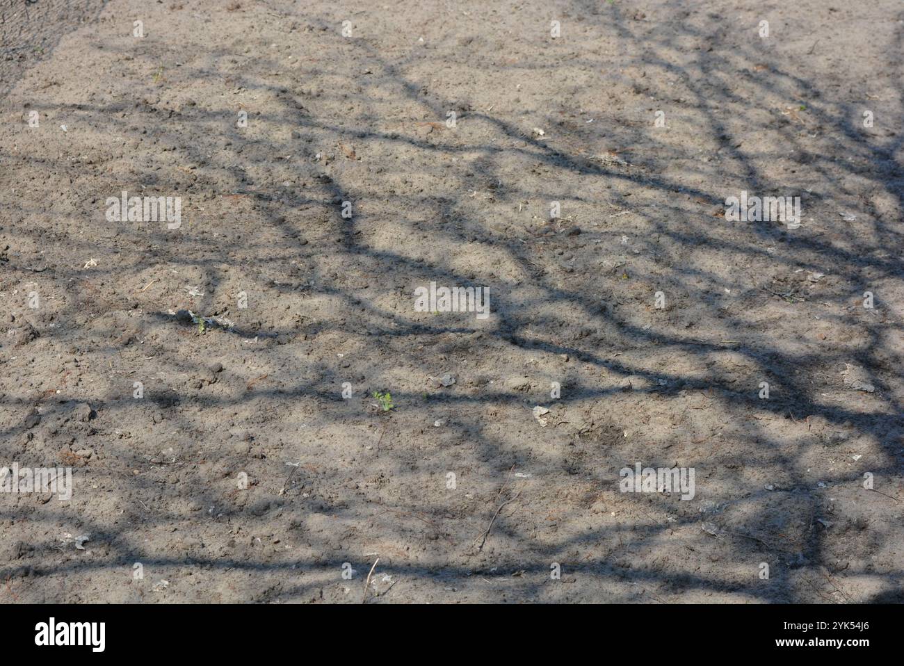 Beautiful spring weather, ground after winter with shade from trees ...
