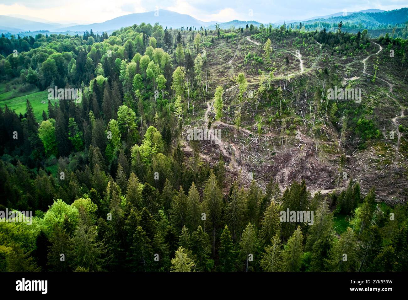 Aerial view of landscape with forested and deforested area in the ...