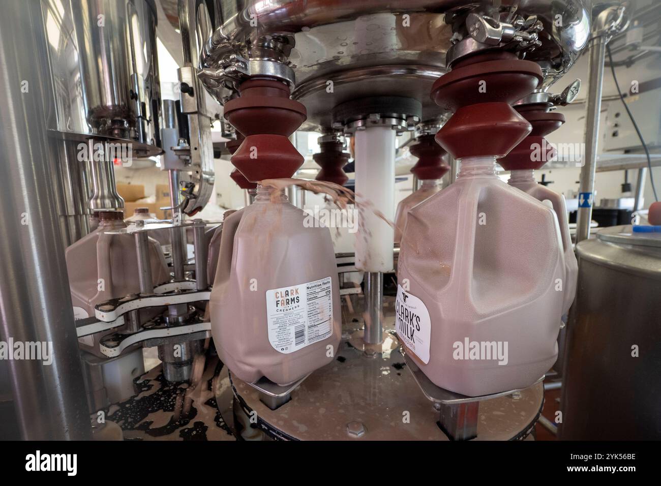 Processing of milk in dairy hi-res stock photography and images - Alamy