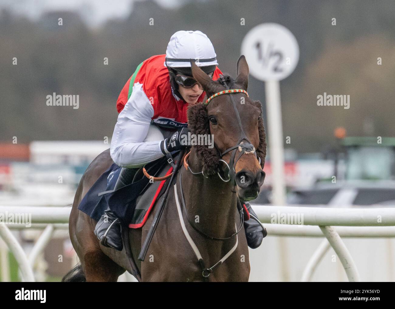 Tom Broughton - Jockey Stock Photo - Alamy