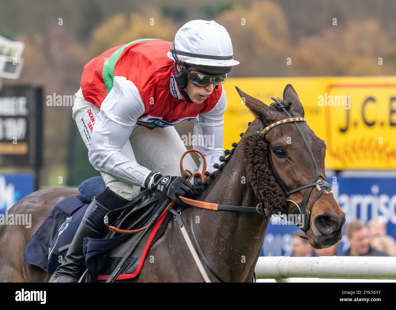 Tom broughton jump jockey hi-res stock photography and images - Alamy