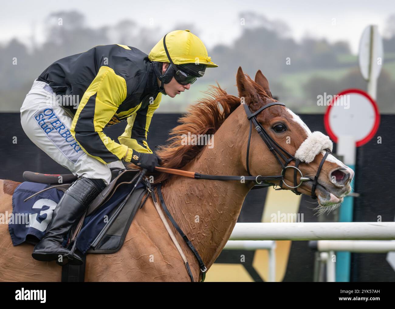 Alice Stevens - Jockey Stock Photo - Alamy