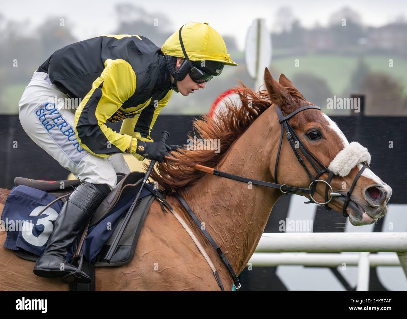 Alice Stevens - Jockey Stock Photo - Alamy