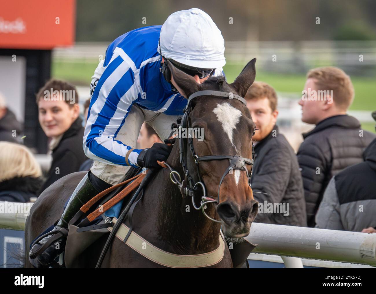 Charlie hammond national hunt jockey hi-res stock photography and ...