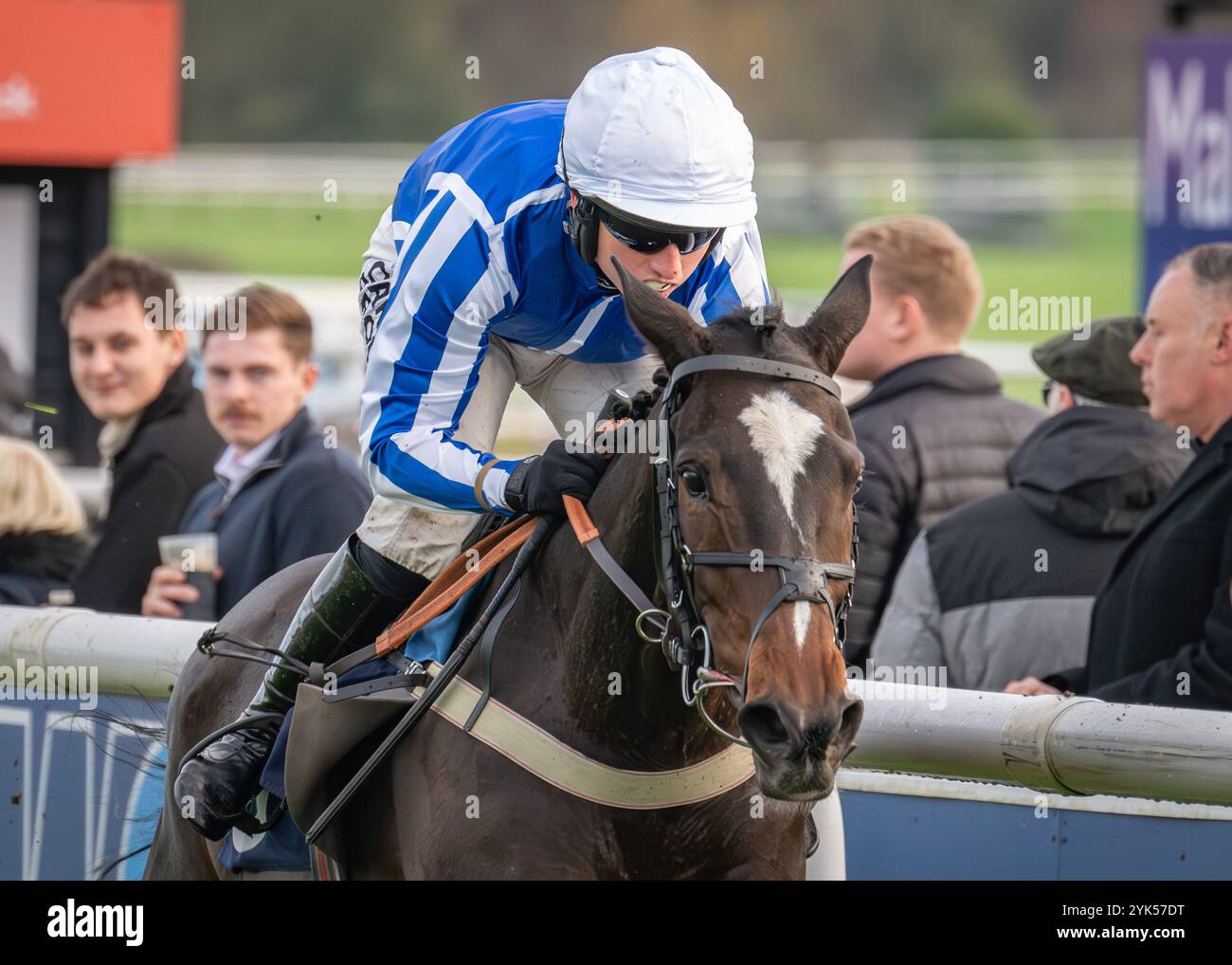 Charlie Hammond - National Hunt Jockey Stock Photo - Alamy
