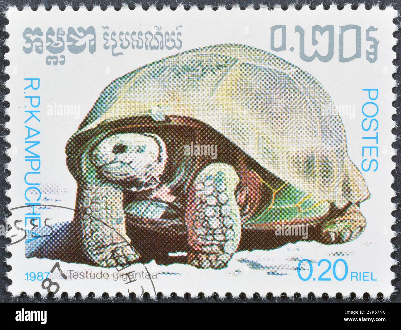Cancelled postage stamp printed by Cambodia, that shows Aldabra Giant ...