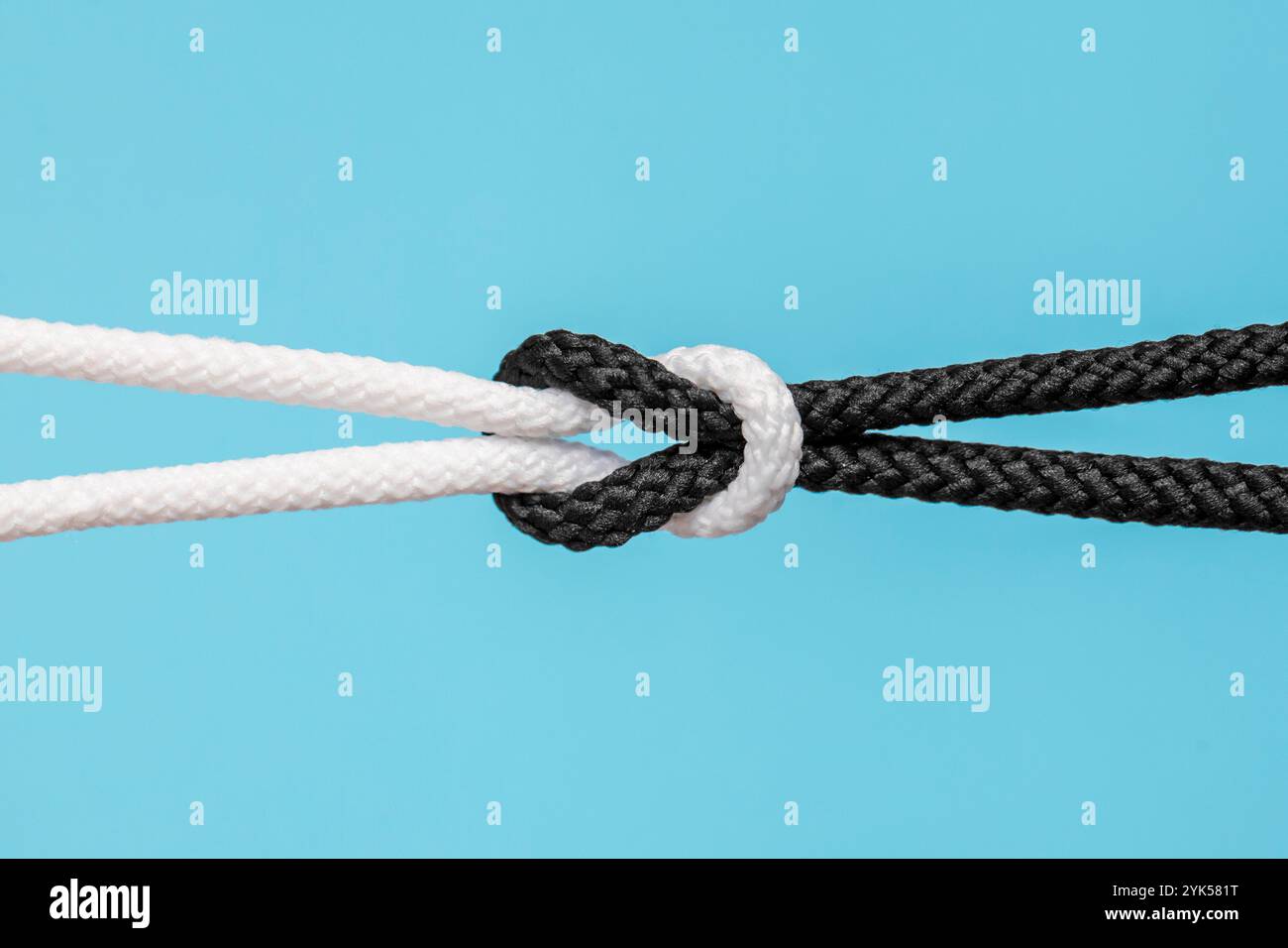 black and white ropes are tied together in a knot, isolated on blue ...