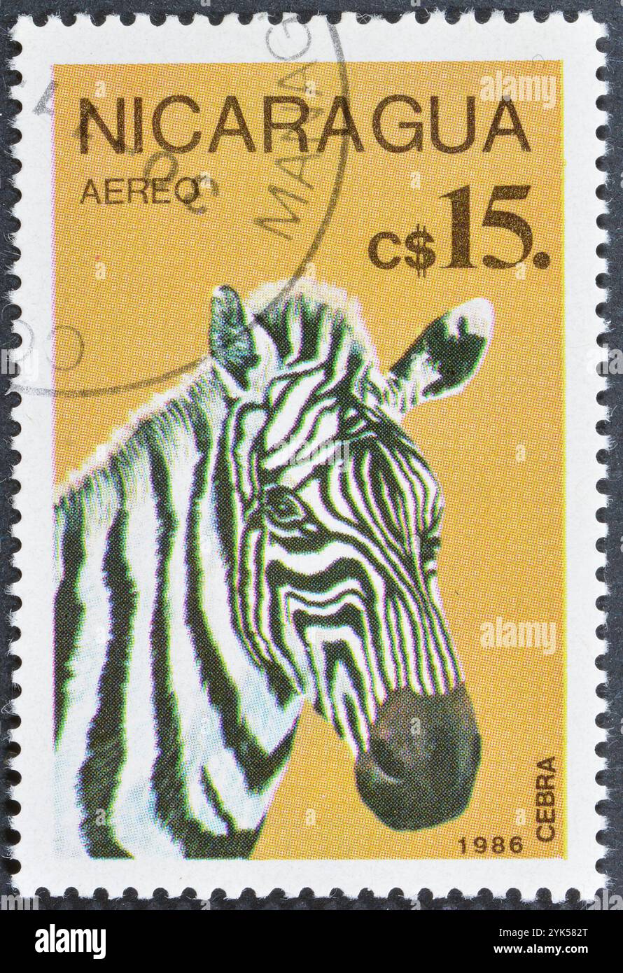 Cancelled postage stamp printed by Nicaragua, that shows Zebra (Equus ...