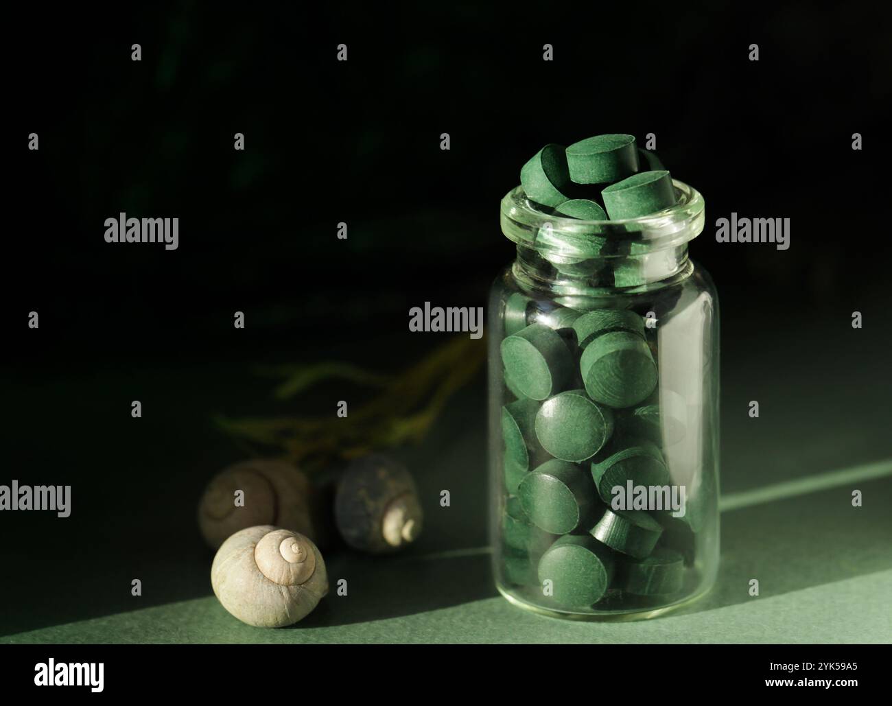 Spirulina Chlorella in glass jar, sea shells on green background ...