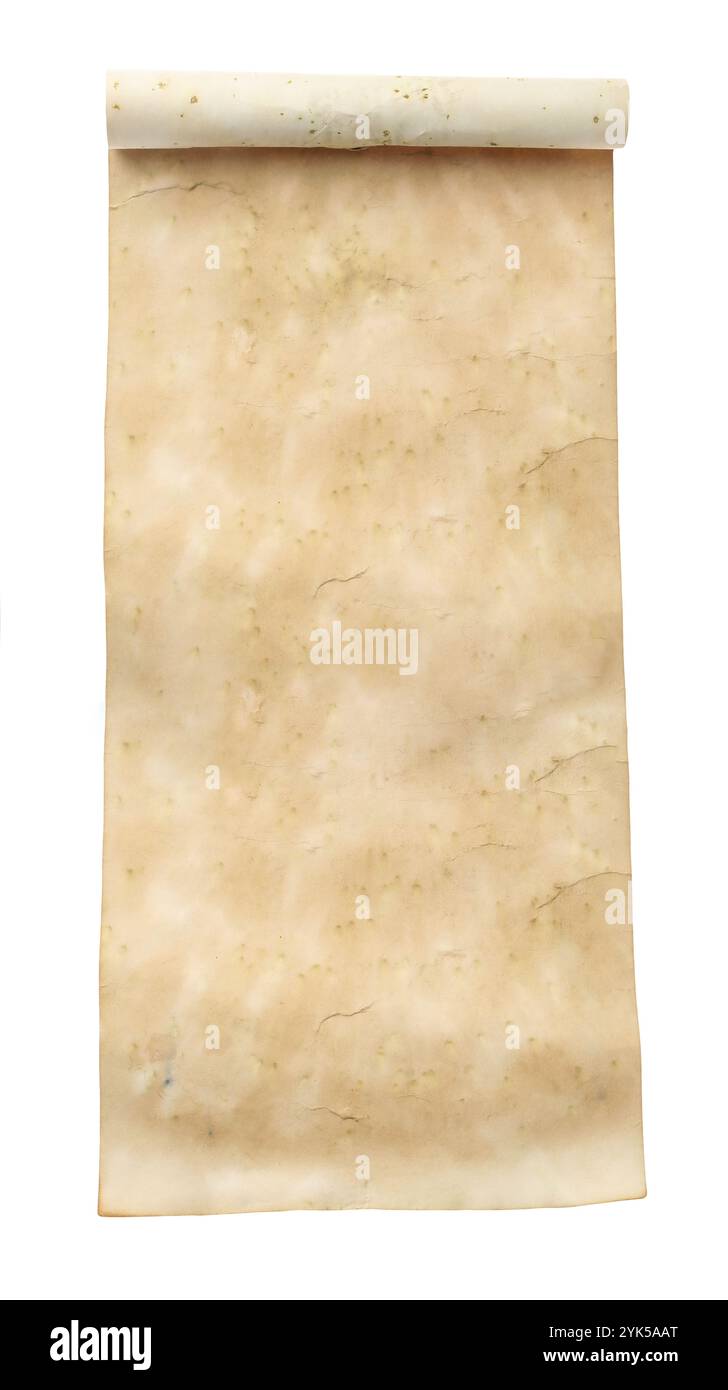 Scroll of old parchment paper isolated on white Stock Photo - Alamy