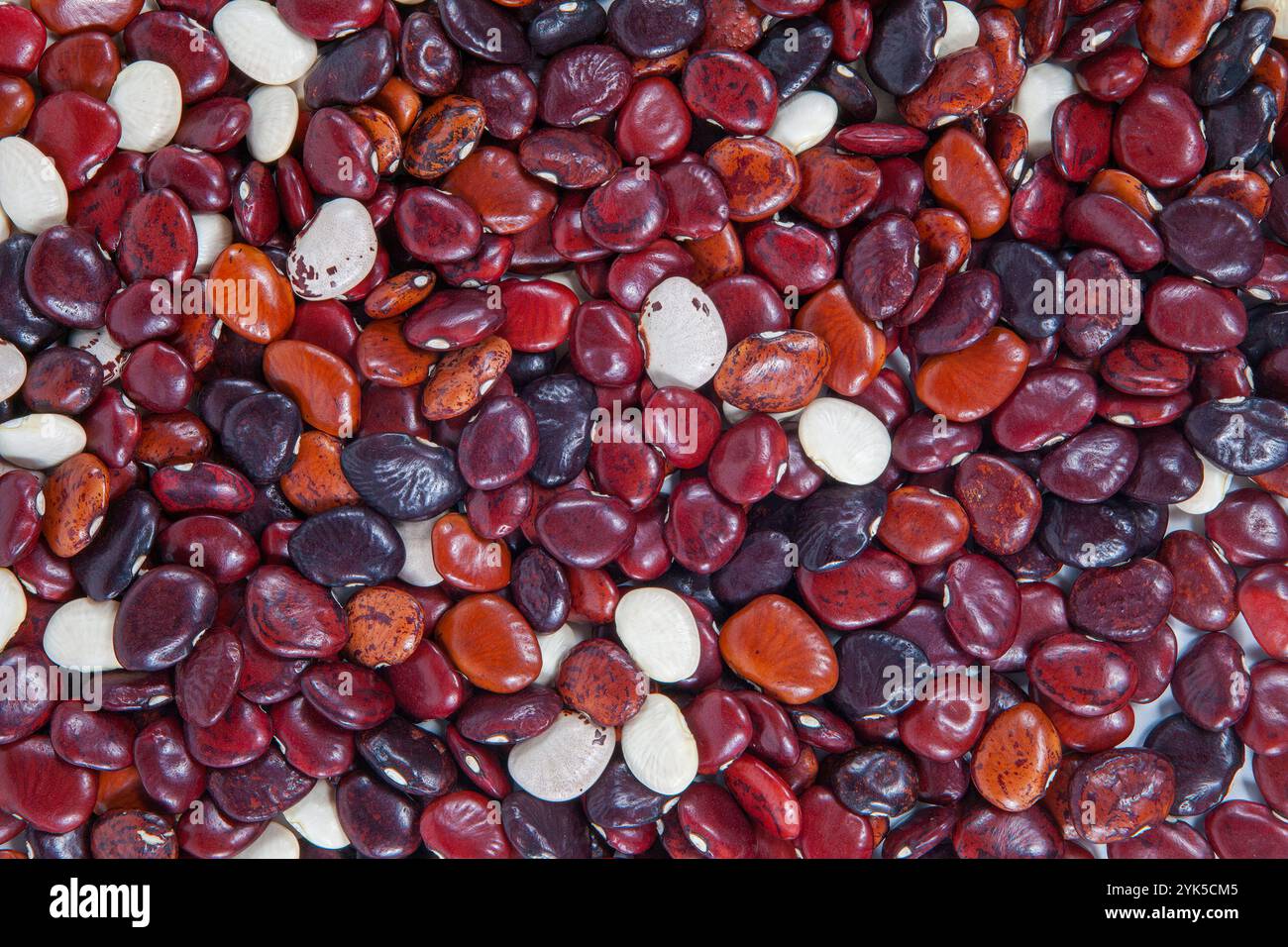 Butterbean legumes hi-res stock photography and images - Alamy