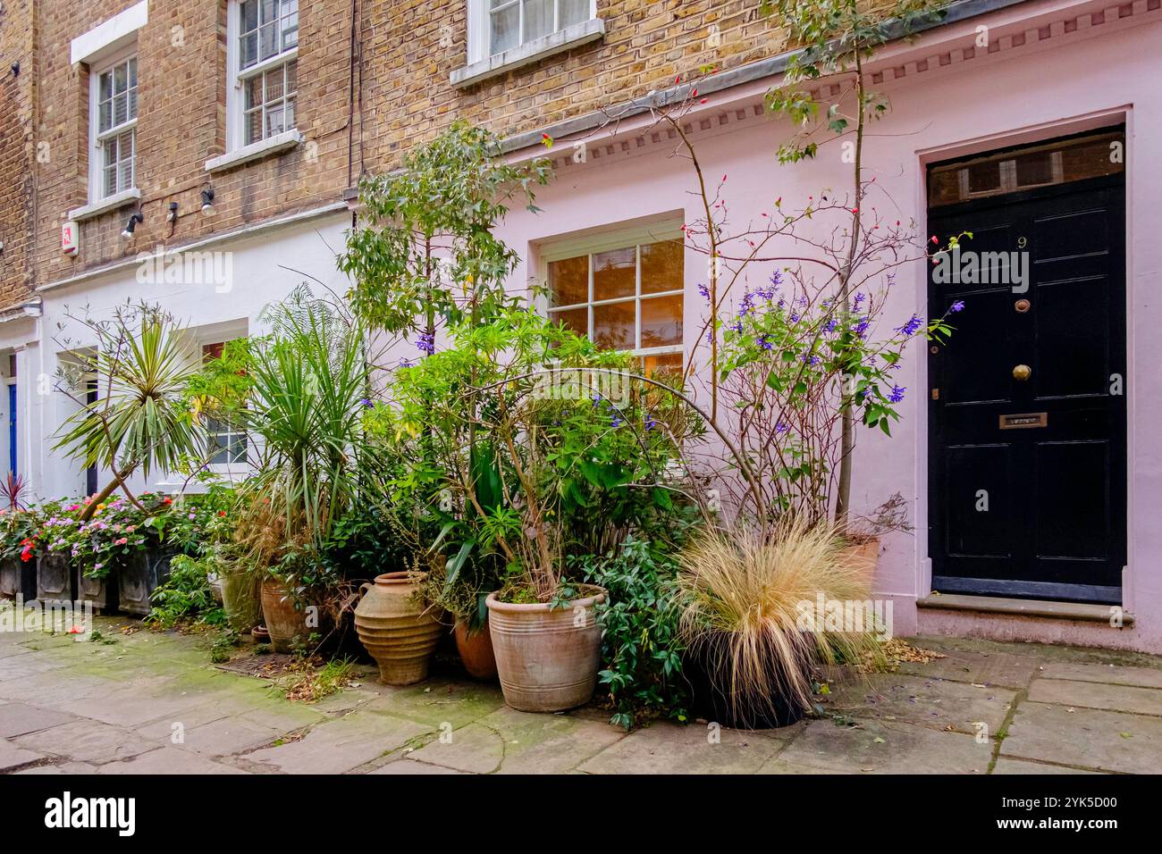 Colourful terraced cottages with displays of potted plants, central ...