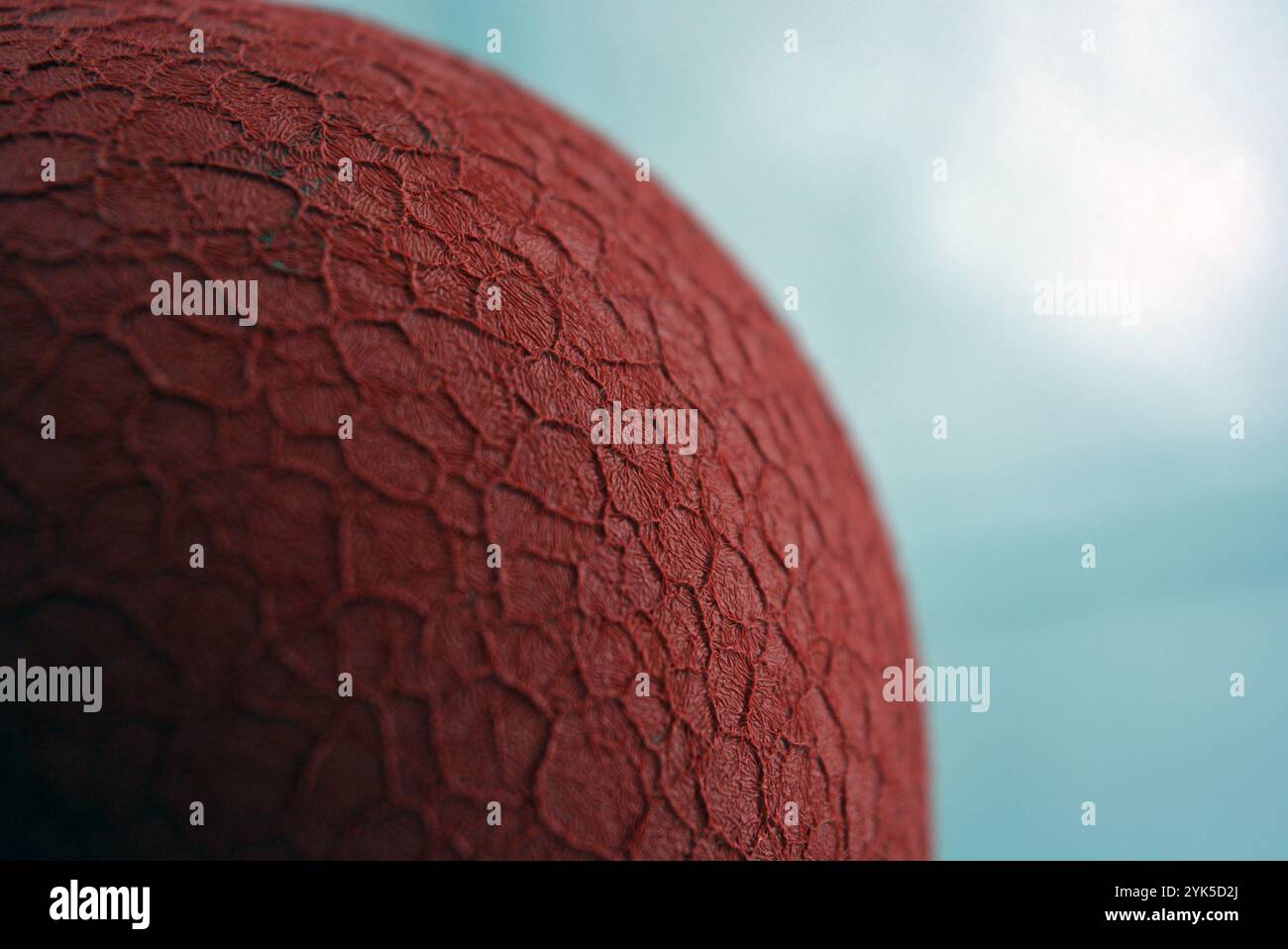 Unusual red, things with interesting texture, structure. Red clay ...