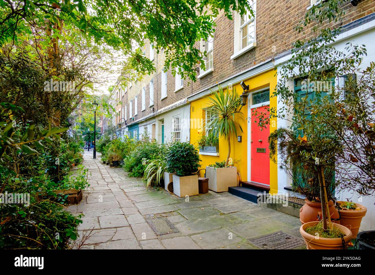 Colourful terraced cottages with displays of potted plants, central ...