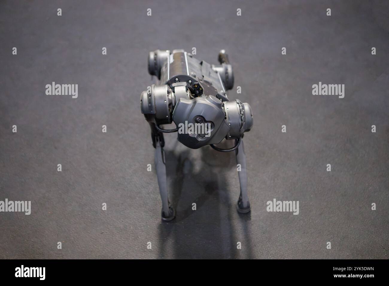 remote-controlled dog-shaped robot in Rio de Janeiro, Brazil Stock ...