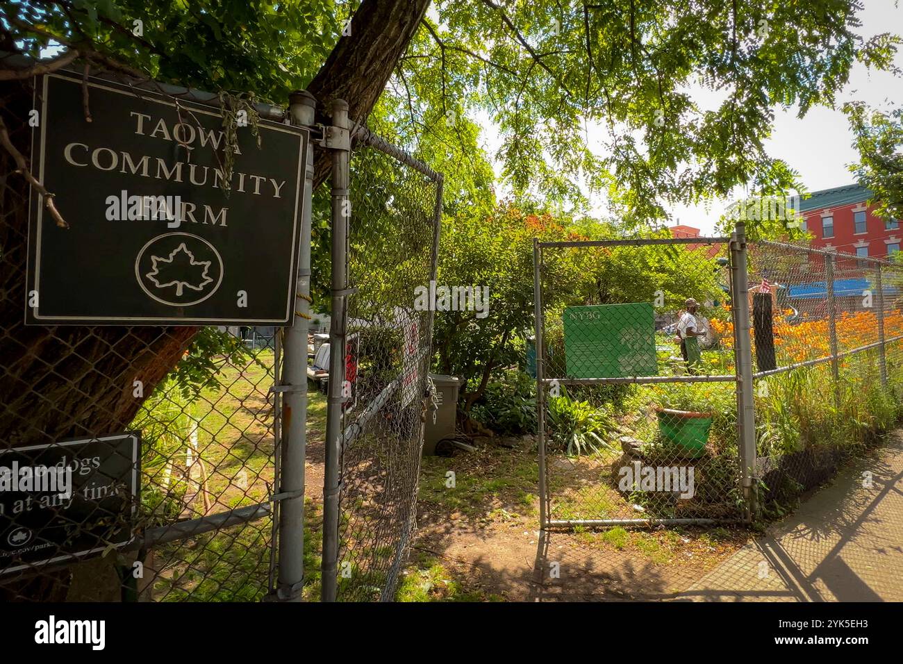 Taqwa Community Farm is a half-acre park operated as a community garden ...