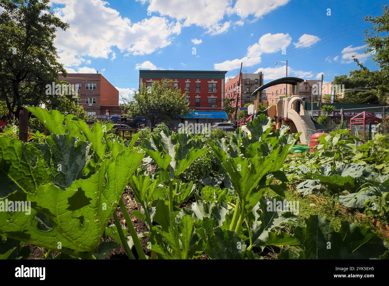 Taqwa Community Farm is a half-acre park operated as a community garden ...
