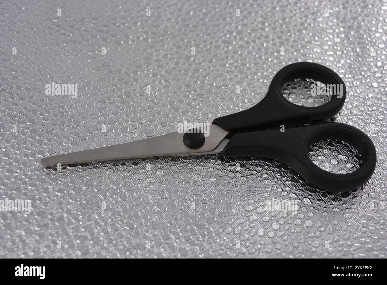 Metallic, silver office scissors with black ears are located on a ...