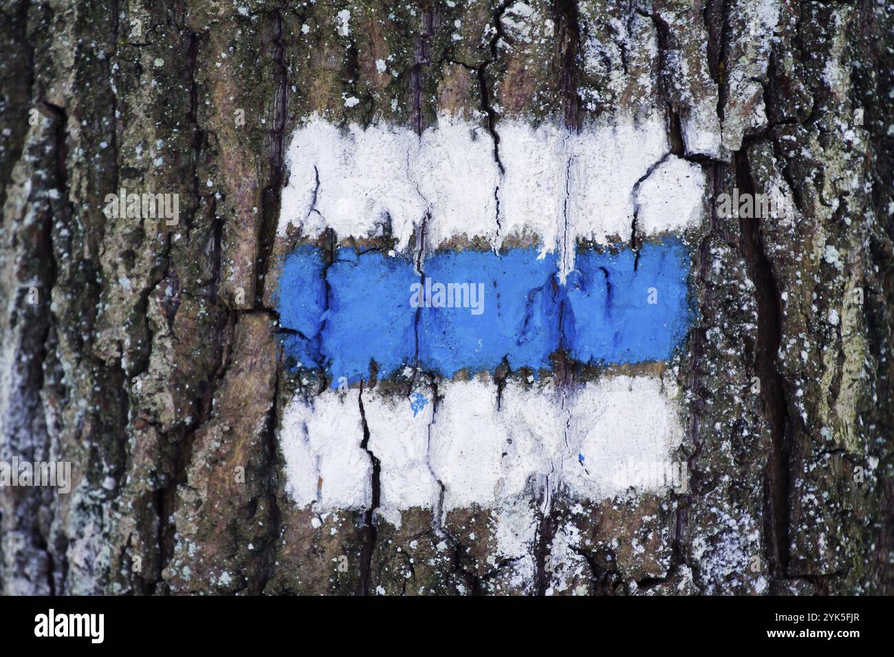 Tourist sign on the tree for a tourist trip Stock Photo - Alamy