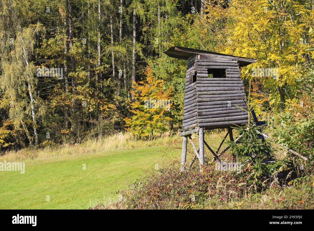 Wooden lookout tower for hunting in the woods and trees with colored ...