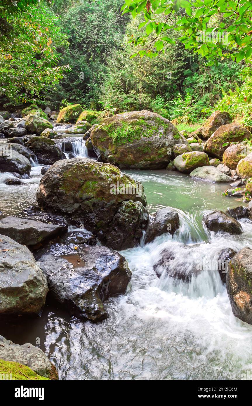 Tranquil stream surrounded lush hi-res stock photography and images - Alamy