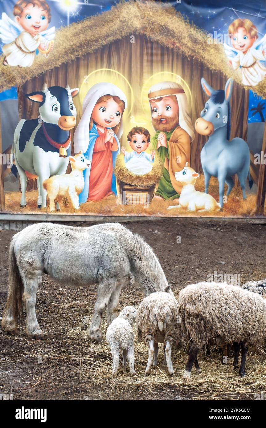Manger Animals 5,700+ Nativity Animals Stock Photos, Pictures