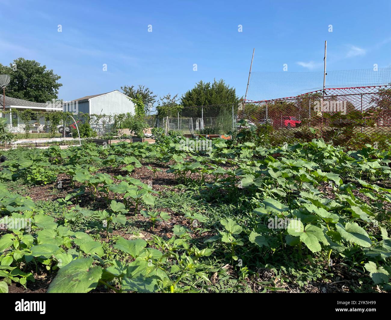Coy Poitier, executive director for FAWC Conservatory of Arts and ...