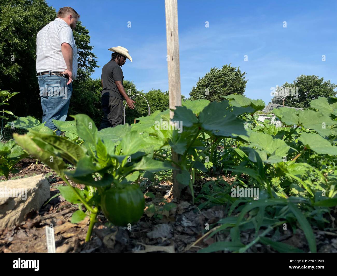 Benefits of urban green spaces hi-res stock photography and images - Alamy