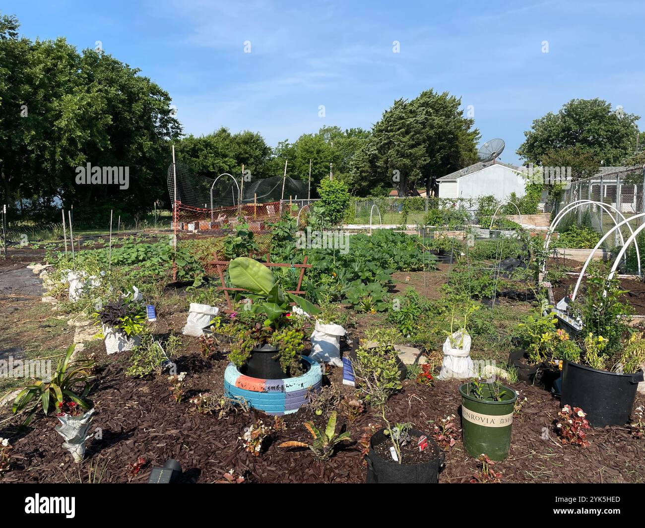 Benefits of urban green spaces hi-res stock photography and images - Alamy