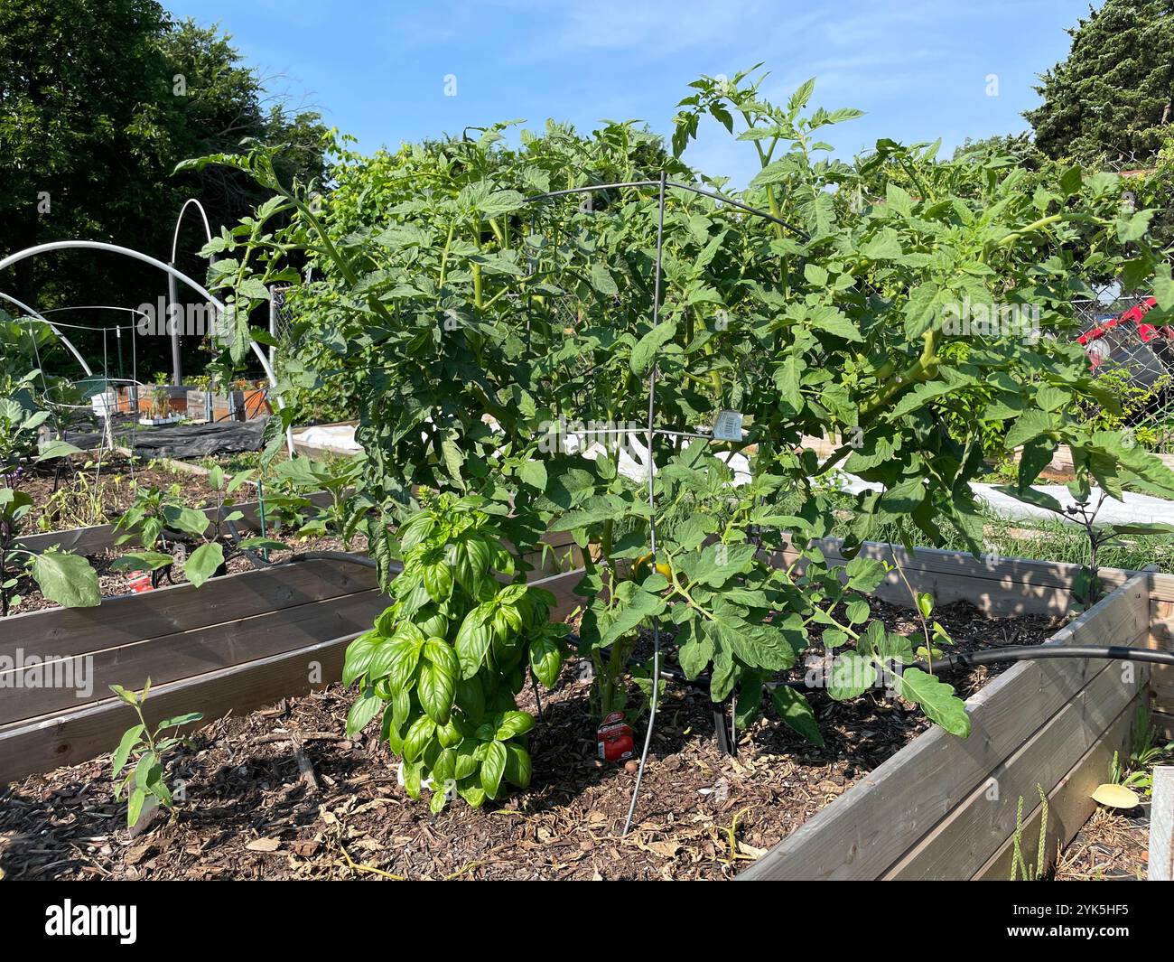 Benefits of urban green spaces hi-res stock photography and images - Alamy