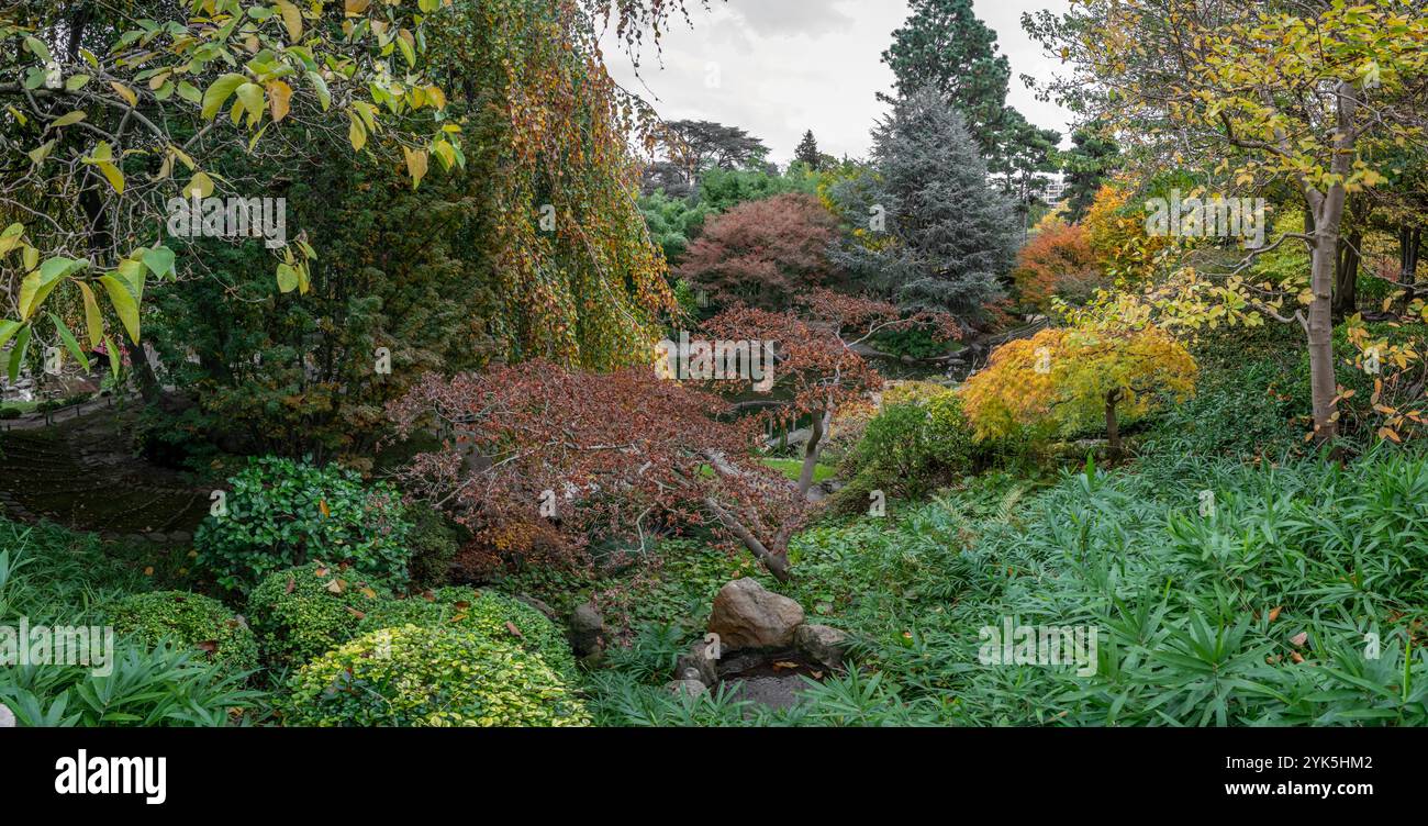 Albert Kahn's garden. Panoramic view of colorful trees in a Japanese ...