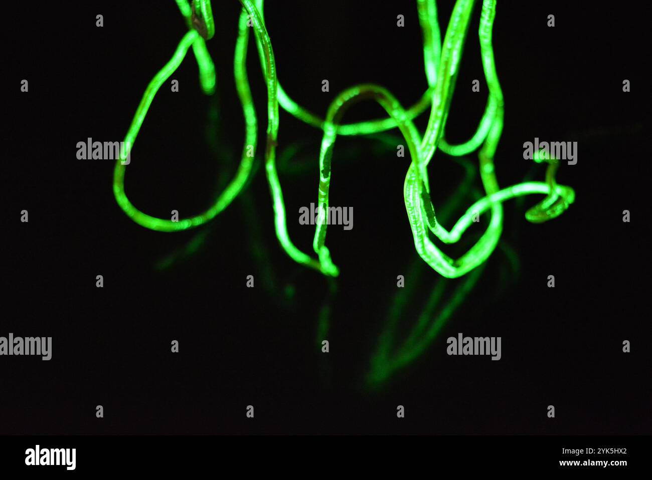 Beautiful thin glowing green, lime wires, beaten cable chaotically ... Beautiful thin glowing green, lime wires, beaten cable chaotically ...