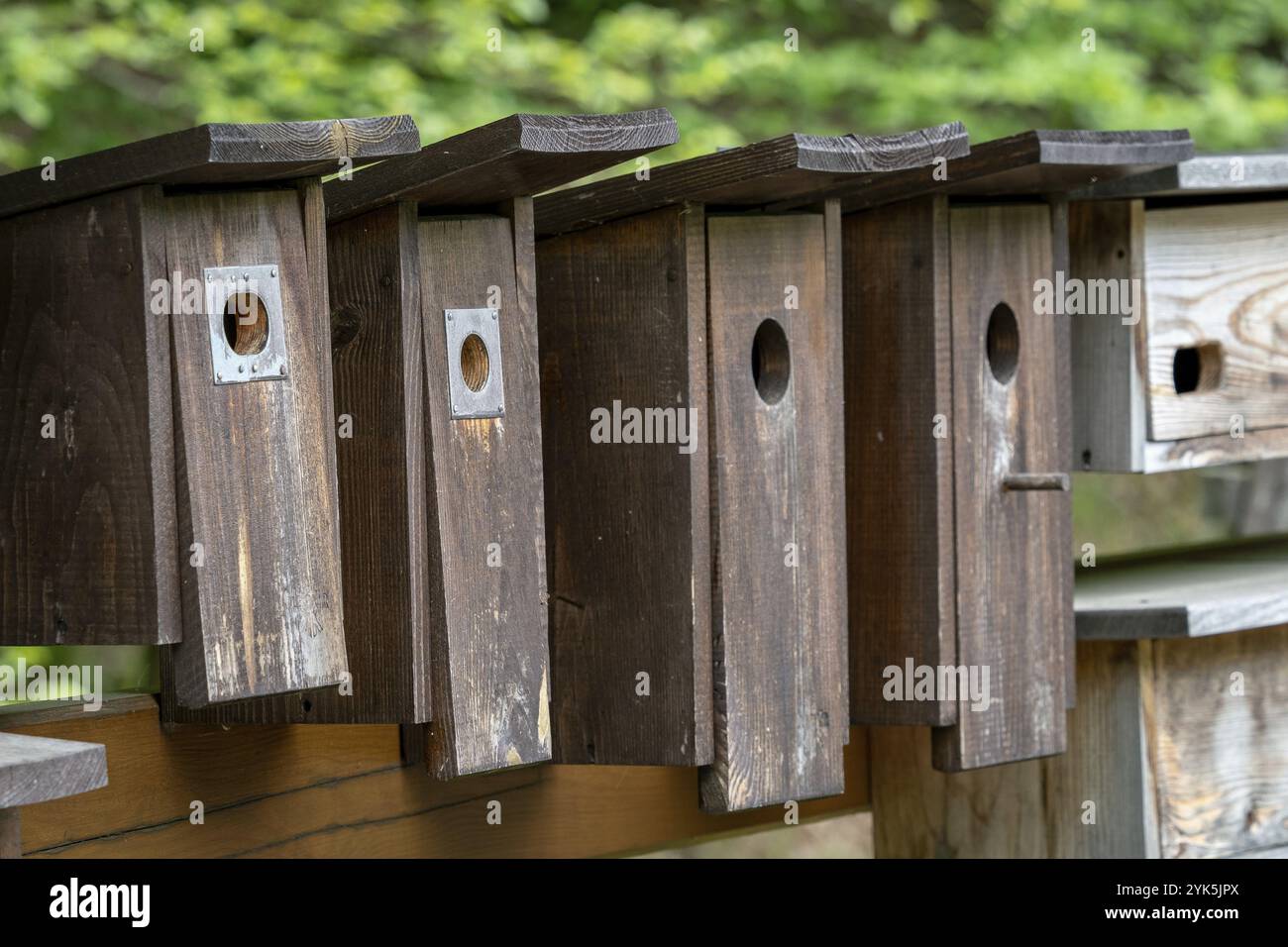 Bird breeding boxes hi-res stock photography and images - Alamy