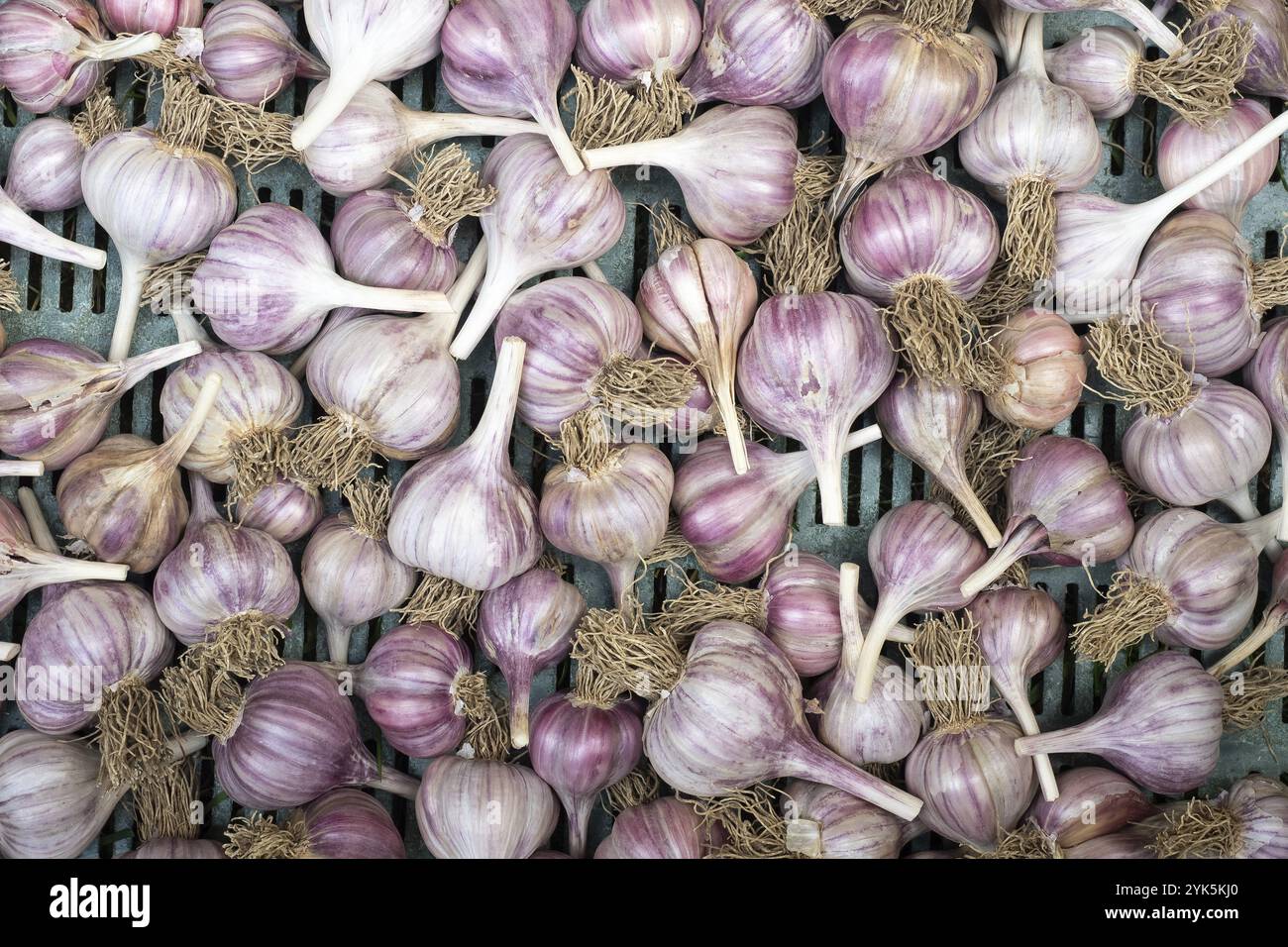 Plastic boxes vegetables hi-res stock photography and images - Alamy