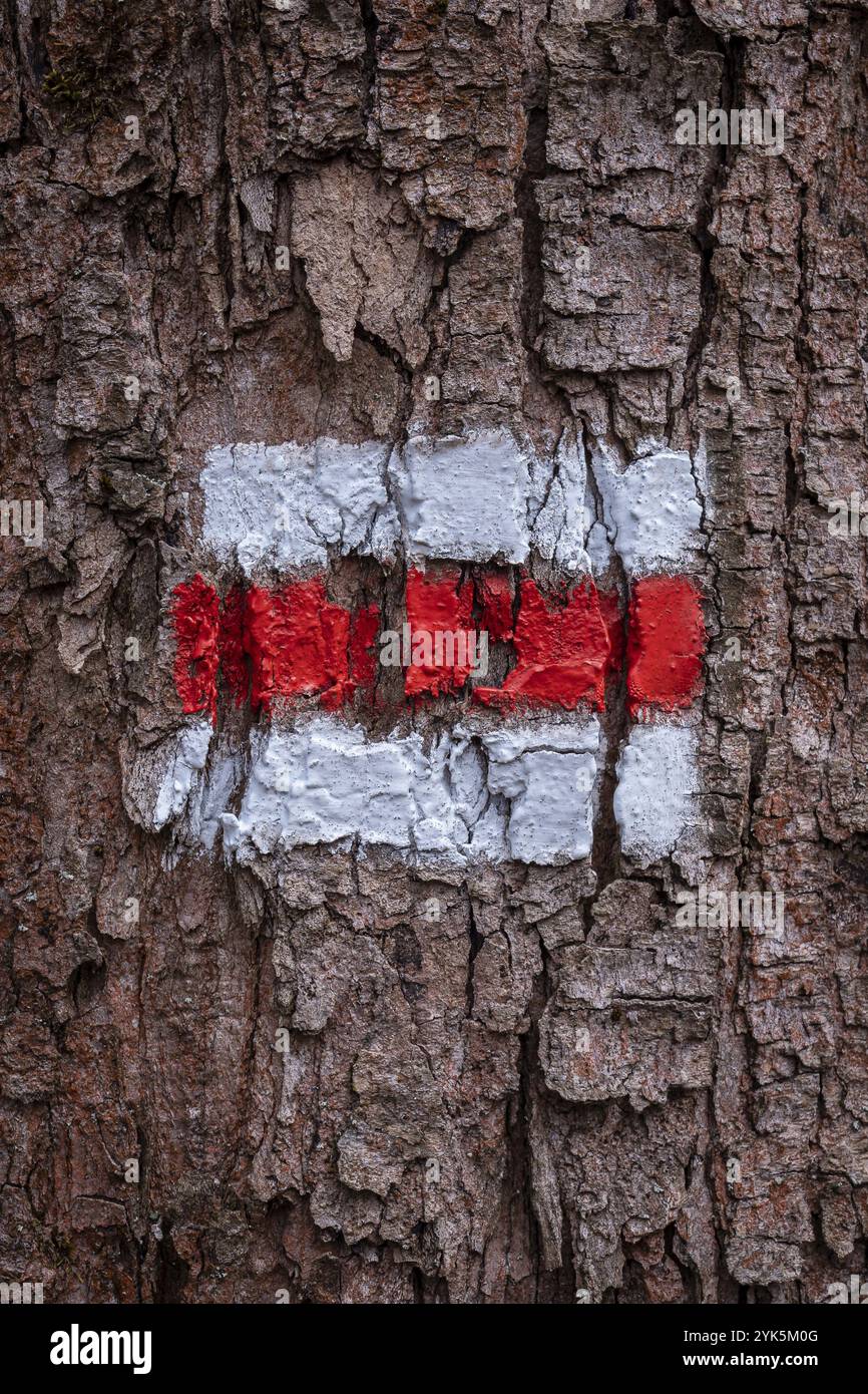 Tourist sign on tree bark. Marking of tourist routes Stock Photo - Alamy